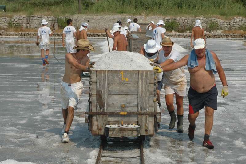 Sea Salt Harvest In Solana Ston - Just Dubrovnik