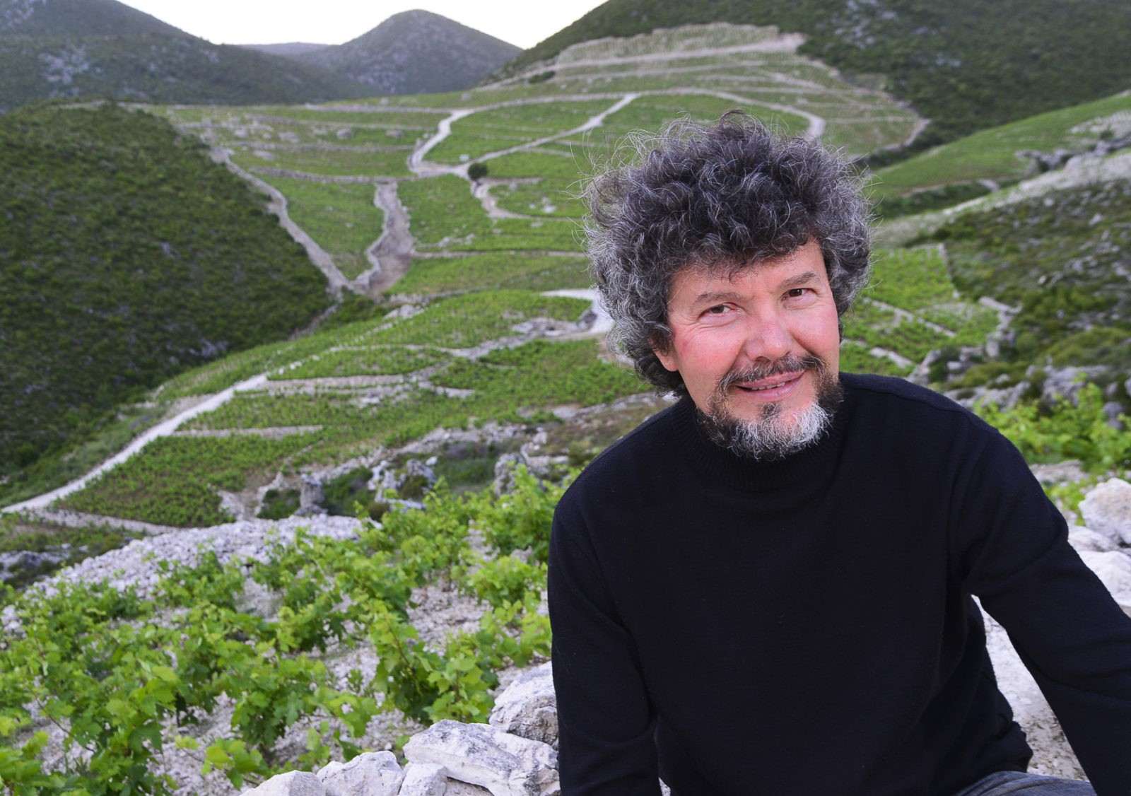 Olive Oil From Peljesac Won A Gold Medal On A Competition In New York ...